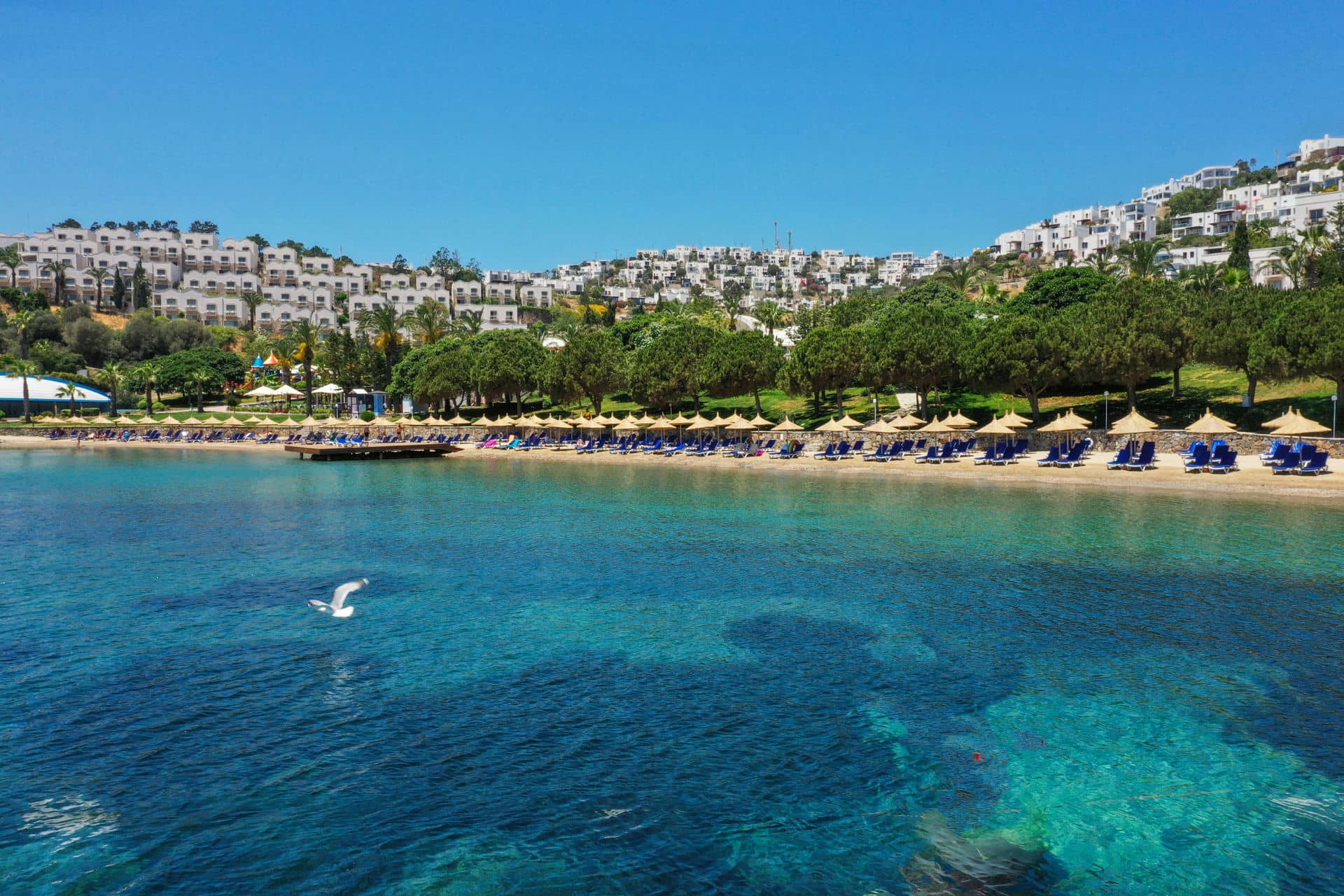 Pool & Beach | Yasmin Bodrum Resort